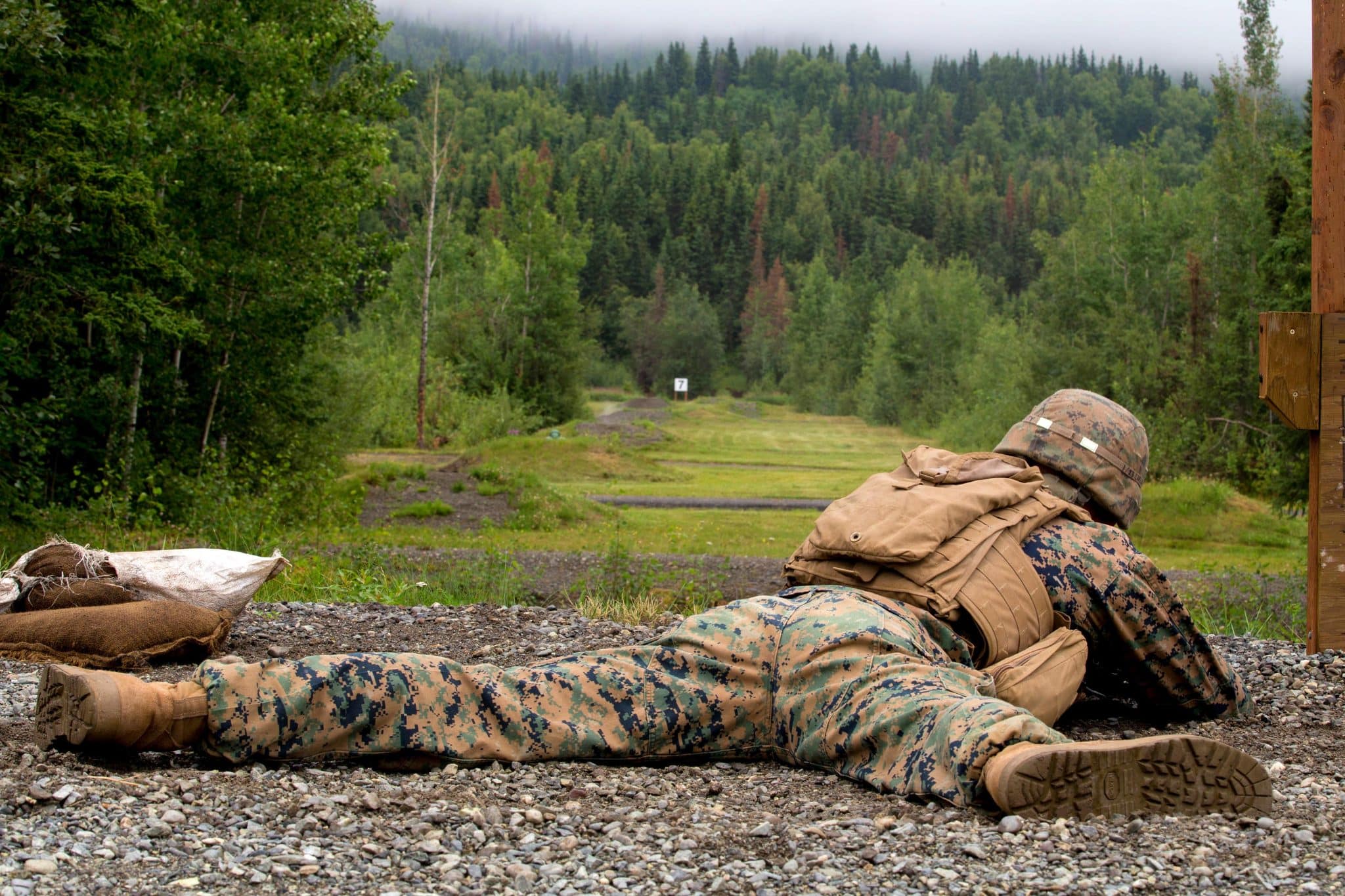 How To Zero A Red Dot Sight In 2025 [Ultimate Guide] - Men of Strength USA